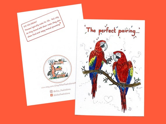 Engagement Macaws Parrot Proposal Greetings Card the Perfect - Etsy