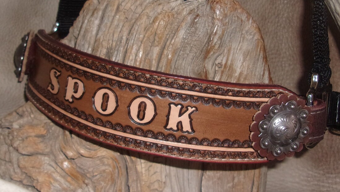 Custom Personalized Horse Halter. Your Horses Name Tan / Brown. G&E - Etsy