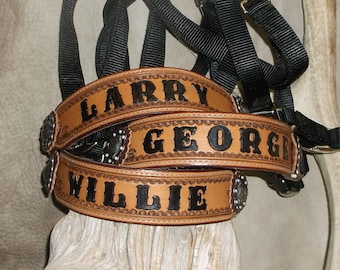 Custom Name Horse Halter - Etsy