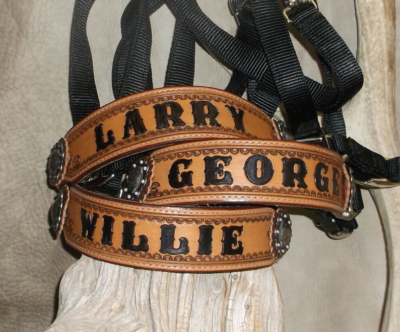 Custom Personalized Horse Halter. Your Horses Name or Simple Brand. G&E ...