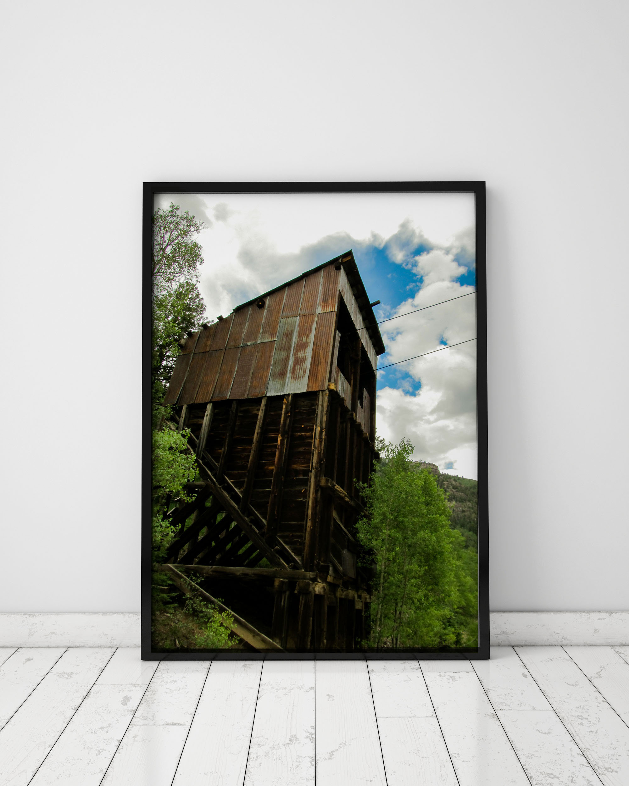 Contemporary Nature Photography