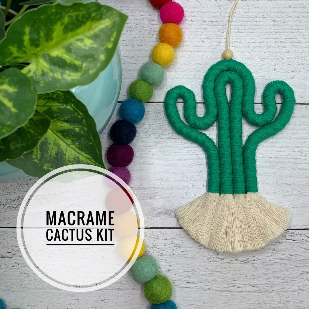 DIY Macrame Cactus Craft Kit Wall Hanging Kit, Adult Craft Kits, DIY ...