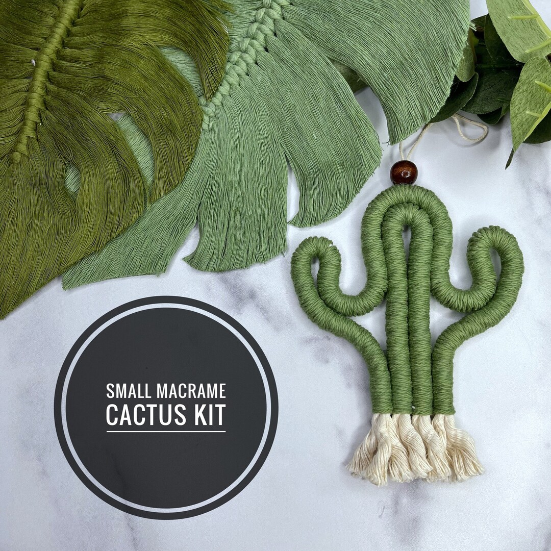 DIY SMALL Macrame Cactus Craft Kit Yarn Rope Wall Hanging Kit, Adult ...