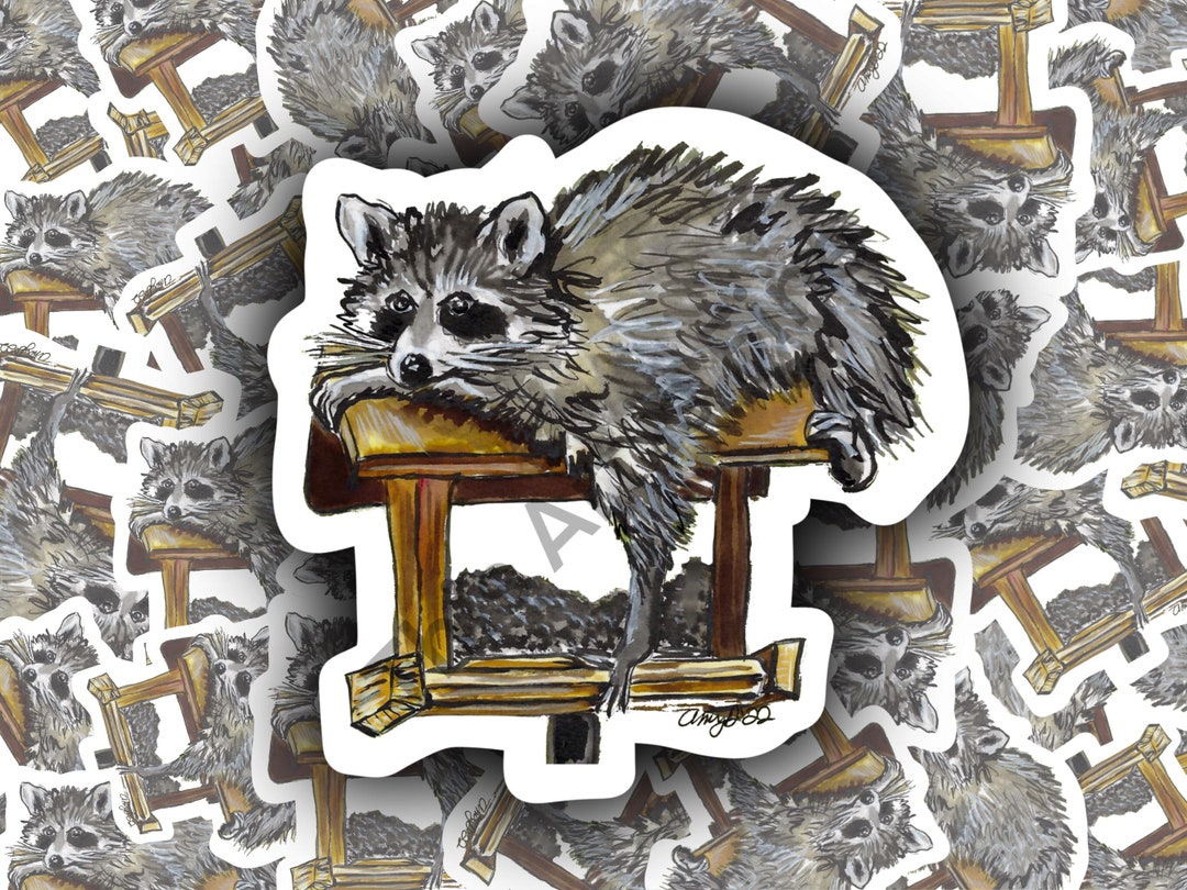Raccoon Boy Sticker, Raccoons, Animal Stickers, Cute Animal, Trash ...