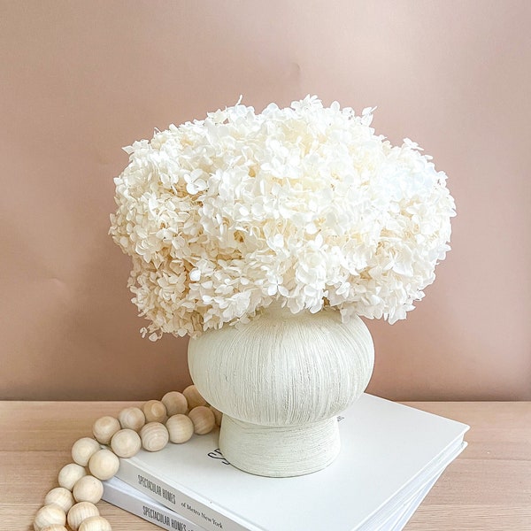 Preserved Hydrangea - Etsy