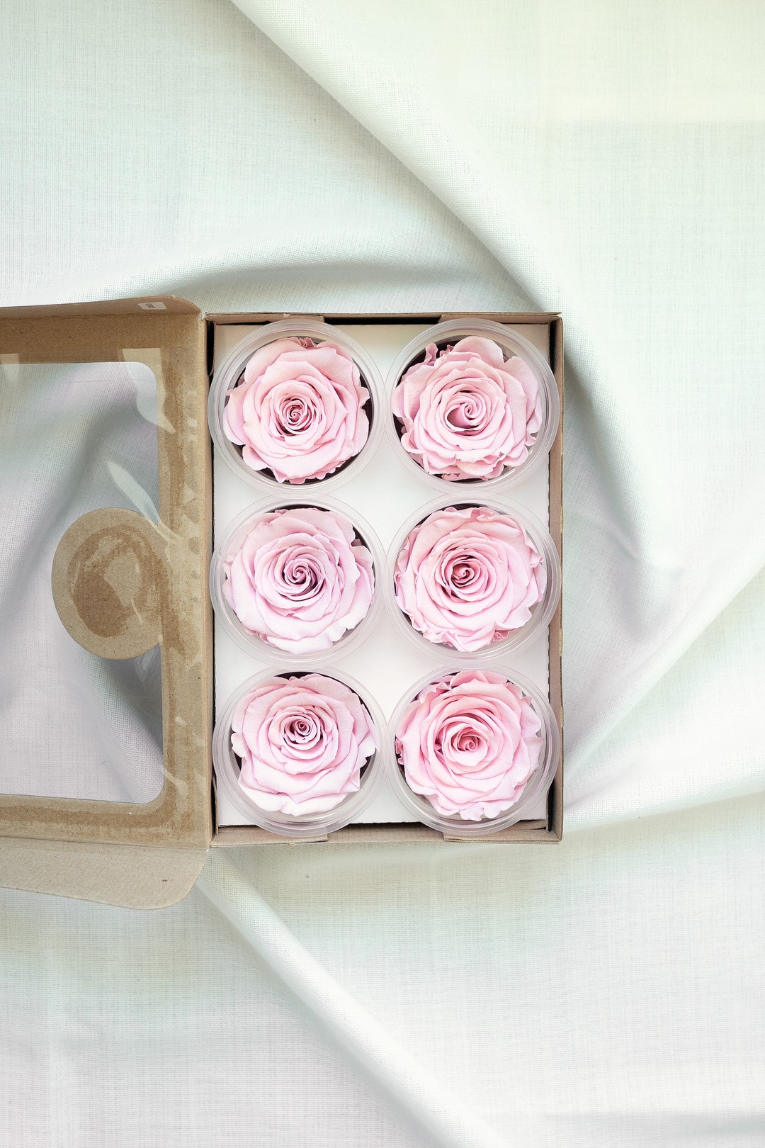 Preserved Pink Roses Box of 6, Ecuador - Etsy