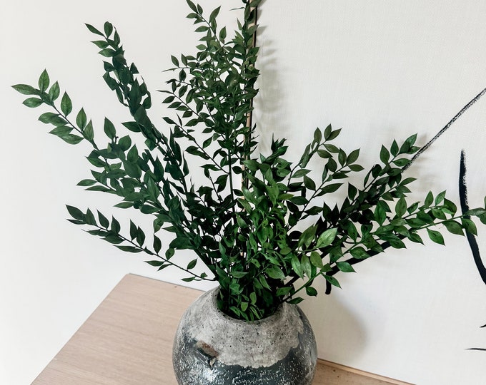 Green Ruscus, Preserved (dried Flowers), Floral Supplies, Flowers for ...