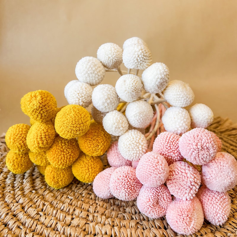 Dried Billy Balls - Etsy