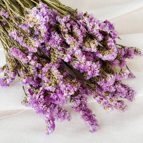 Purple Dried Flower - Etsy