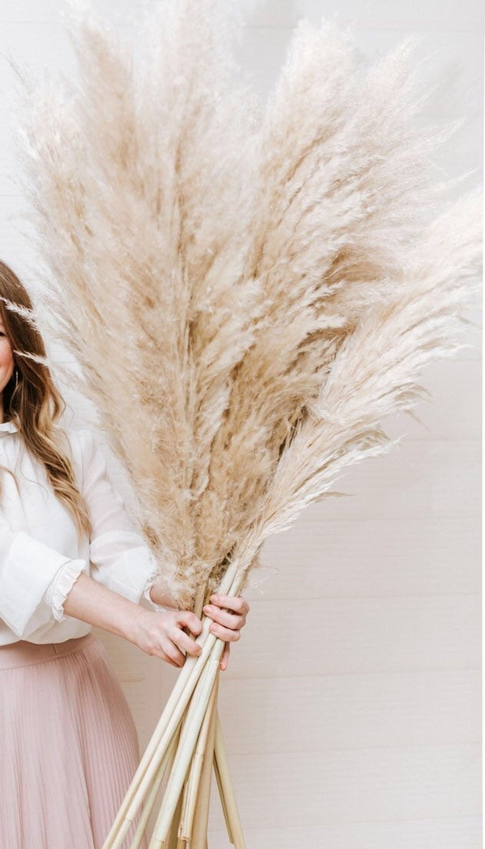 Fluffy Large Pampas Grass Boho Dried Pampas Grass Dried - Etsy