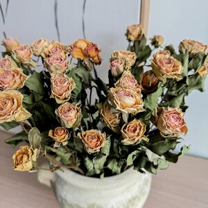 Mini Dried Roses, Dried Flowers, Dry Floras, Flowers for DIY, Natural ...
