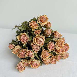 Mini Dried Roses, Dried Flowers, Dry Floras, Flowers for DIY, Natural ...