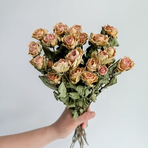 Mini Dried Roses, Dried Flowers, Dry Floras, Flowers for DIY, Natural ...