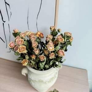 Mini Dried Roses, Dried Flowers, Dry Floras, Flowers for DIY, Natural ...