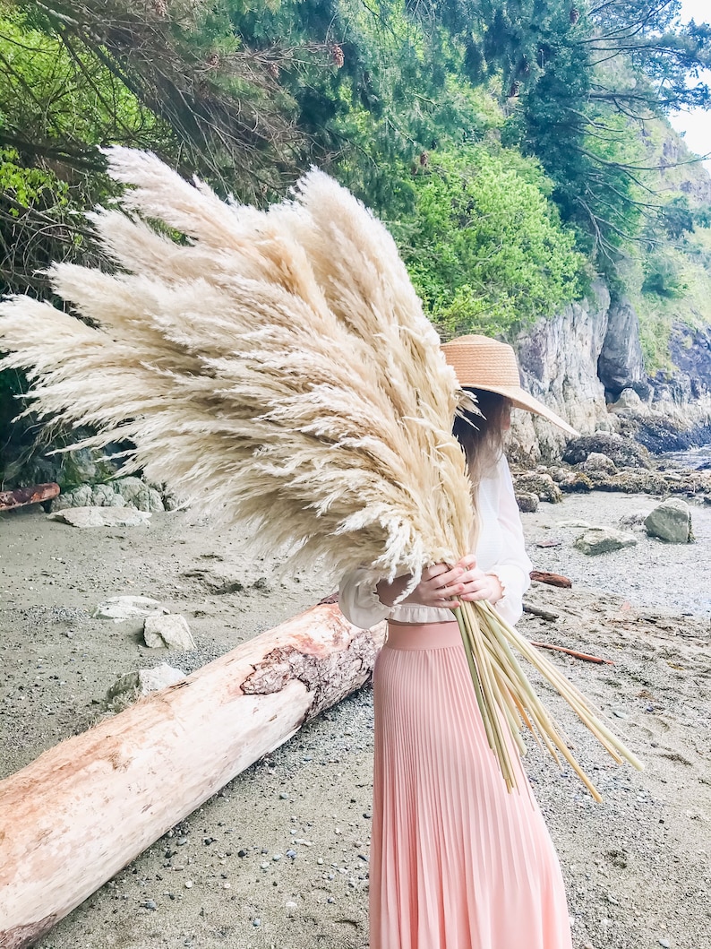 Fluffy Large Pampas Grass Boho Dried Pampas Grass Dried - Etsy