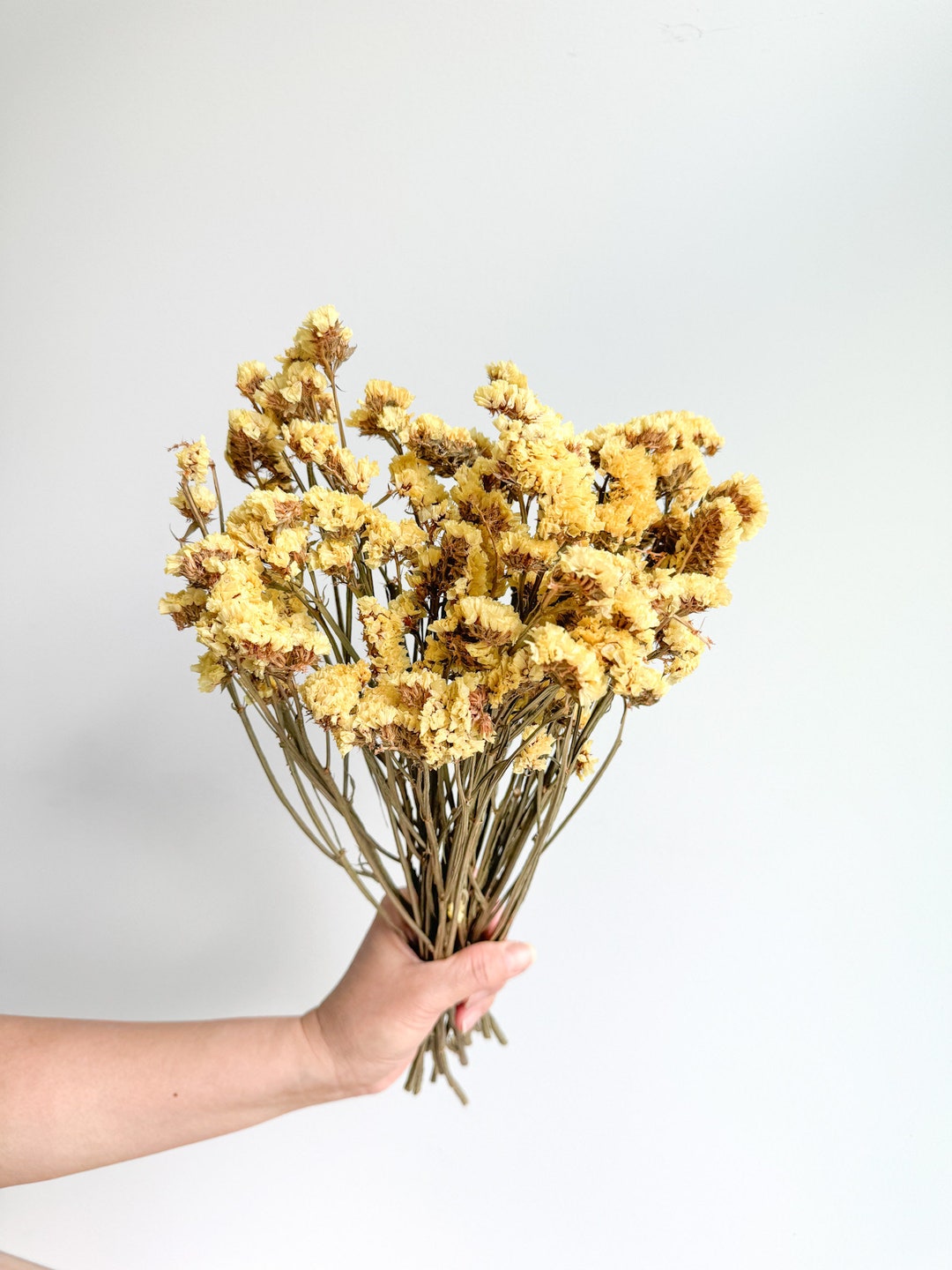 Yellow Statice Grass, Dried Flowers, Wedding Decor, Natural Home Decor ...