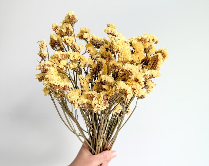 Yellow Statice Grass, Dried Flowers, Wedding Decor, Natural Home Decor ...