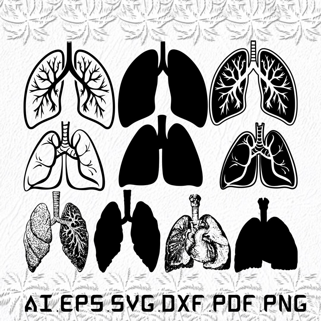 Lungs Svg, Medical Image Svg, Human Lungs Svg, Bronchial, Human, SVG ...