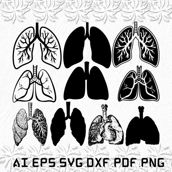 Lungs Svg Medical Image Svg Human Lungs Svg Bronchial | Etsy Australia