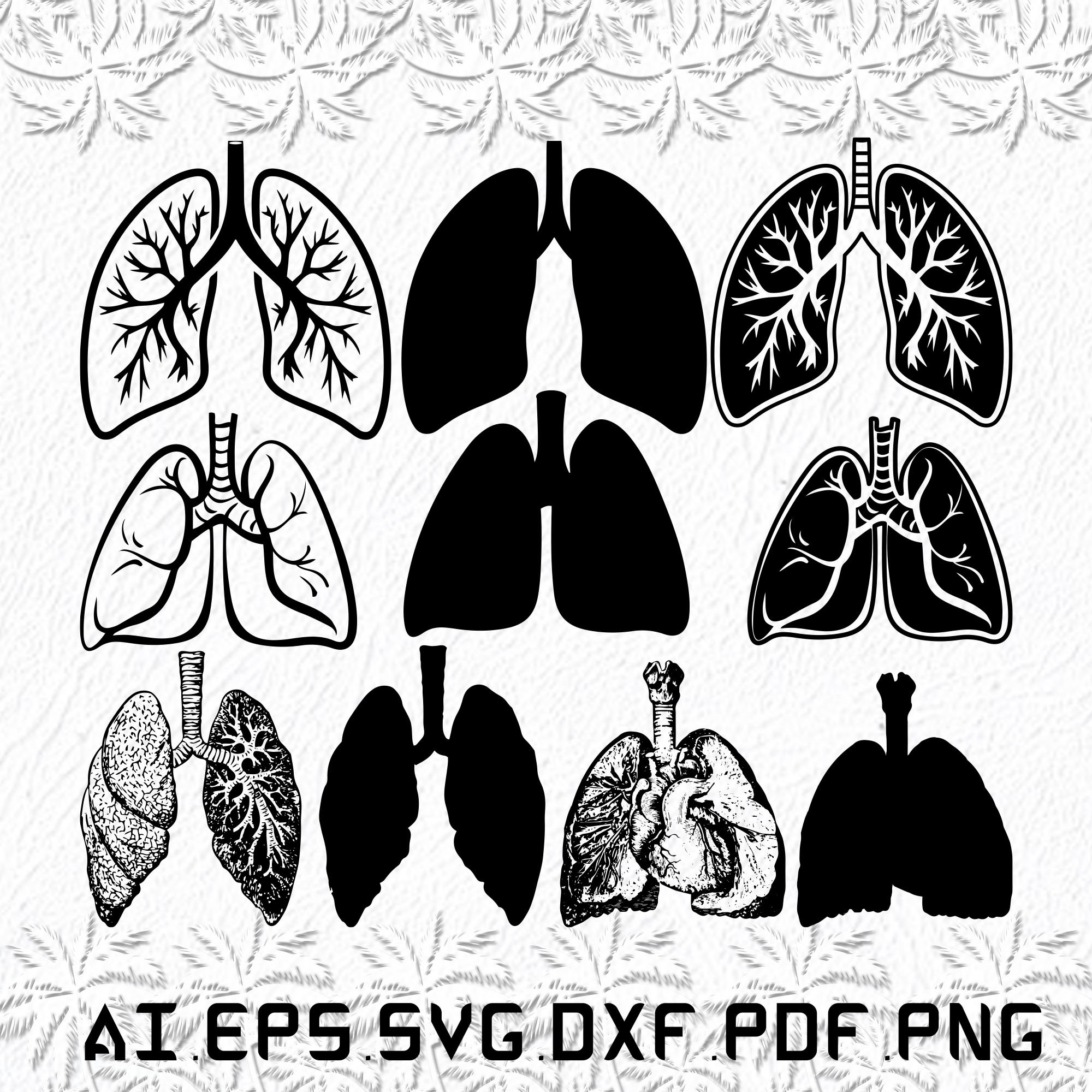 Lungs svg Medical image svg Human lungs svg Bronchial | Etsy