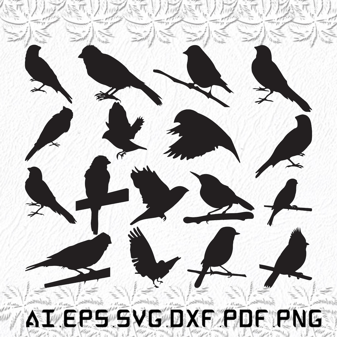 Canary Svg, Canarys Svg, Arrow Svg, Bird, Dc, SVG, Ai, Pdf, Eps, Svg ...