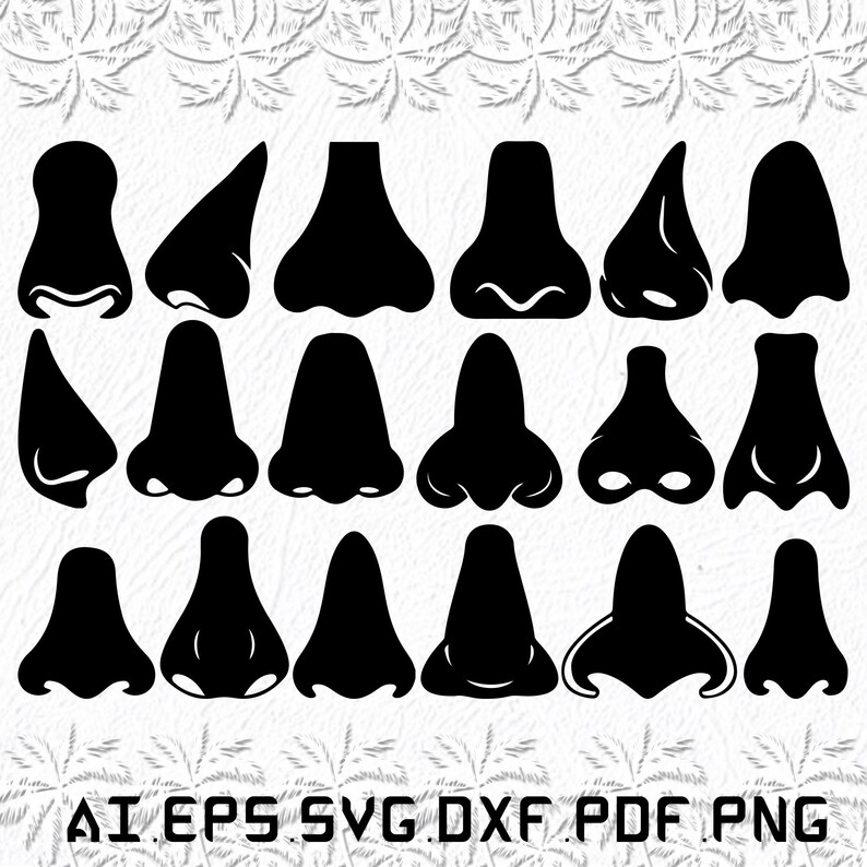 Nariz humana svg, narices humanas svg, hombres svg, humano, nariz, SVG ...
