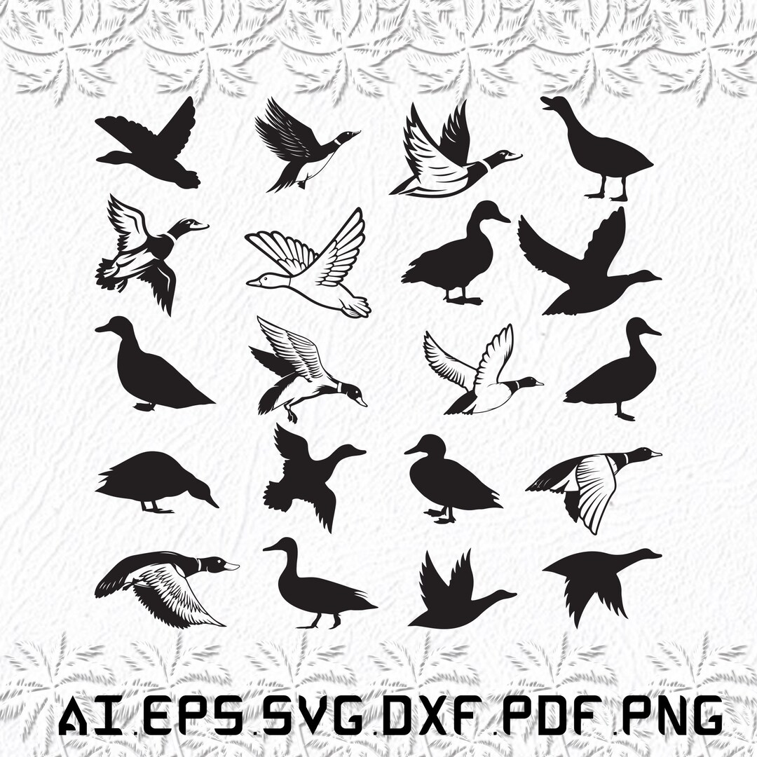 Mallard Svg, Mallards Svg, Love Svg, Bird, Birds, SVG, Ai, Pdf, Eps ...