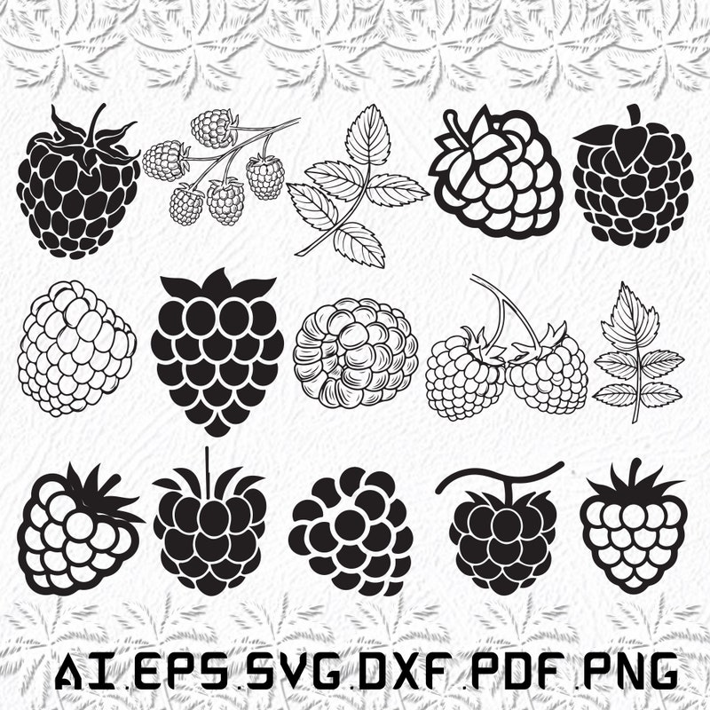 Raspberry Svg - Etsy