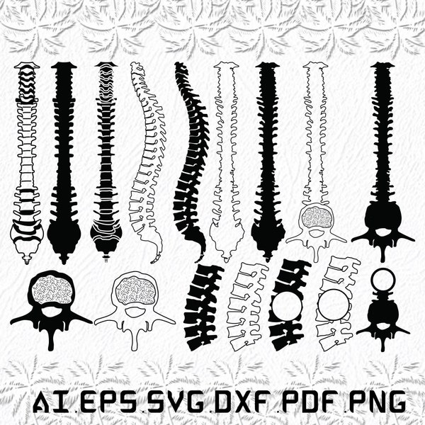 Spine Svg - Etsy