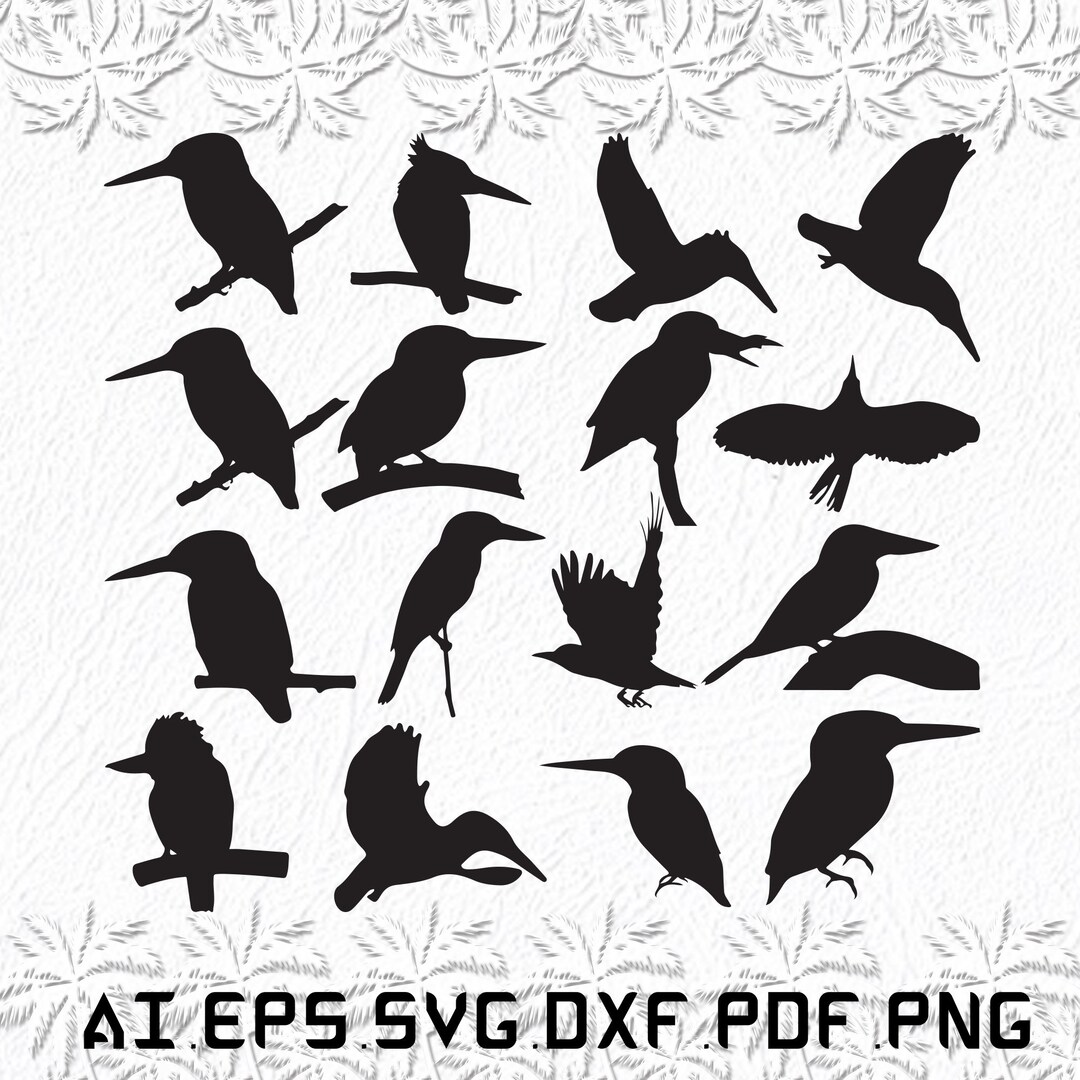 Kingfisher Svg, Kingfishers Svg, King Fisher Svg, King, Fisher, SVG, Ai ...