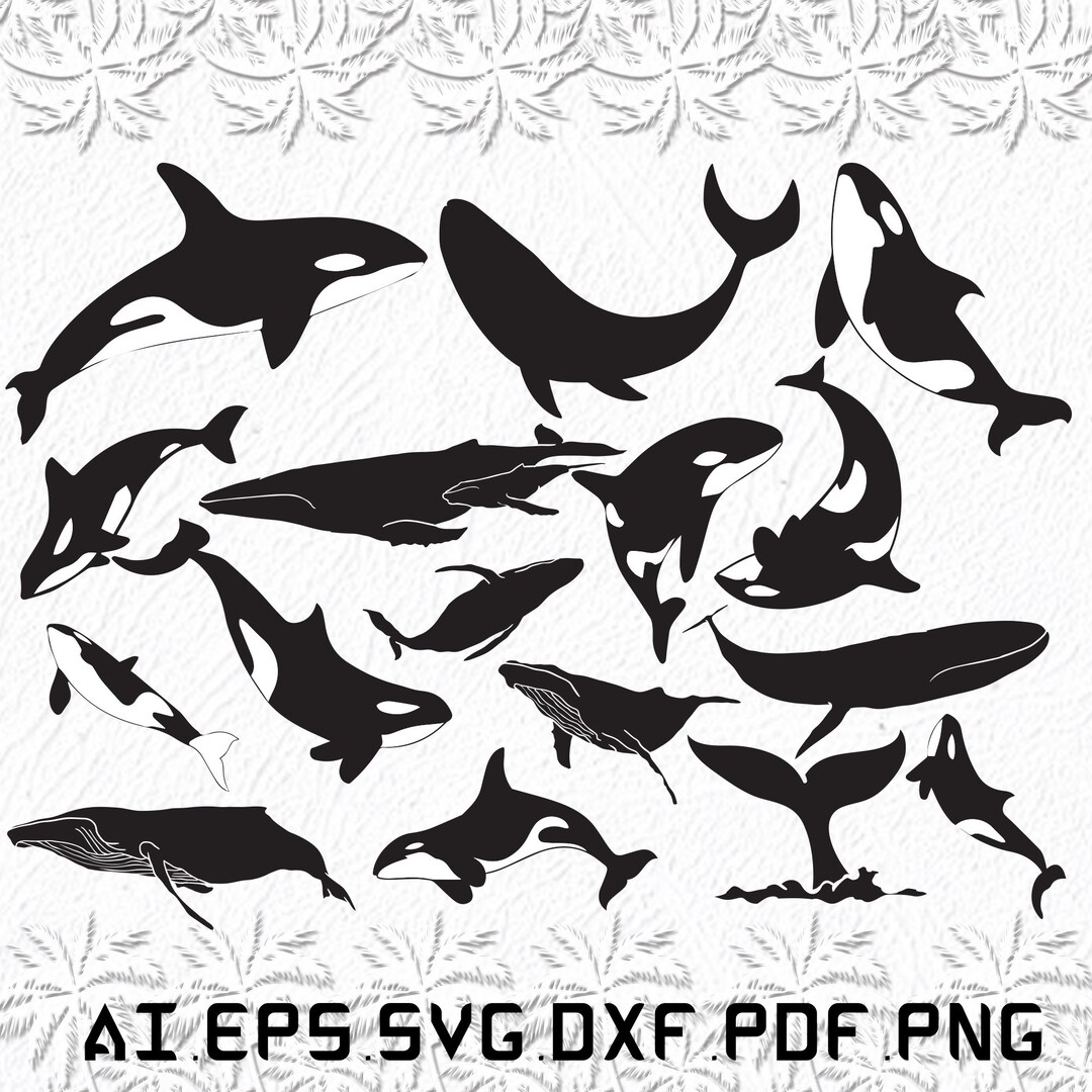 Blue Whale Svg, Blue Whales Svg, Whale Svg, Blue, Whale, SVG, Ai, Pdf ...
