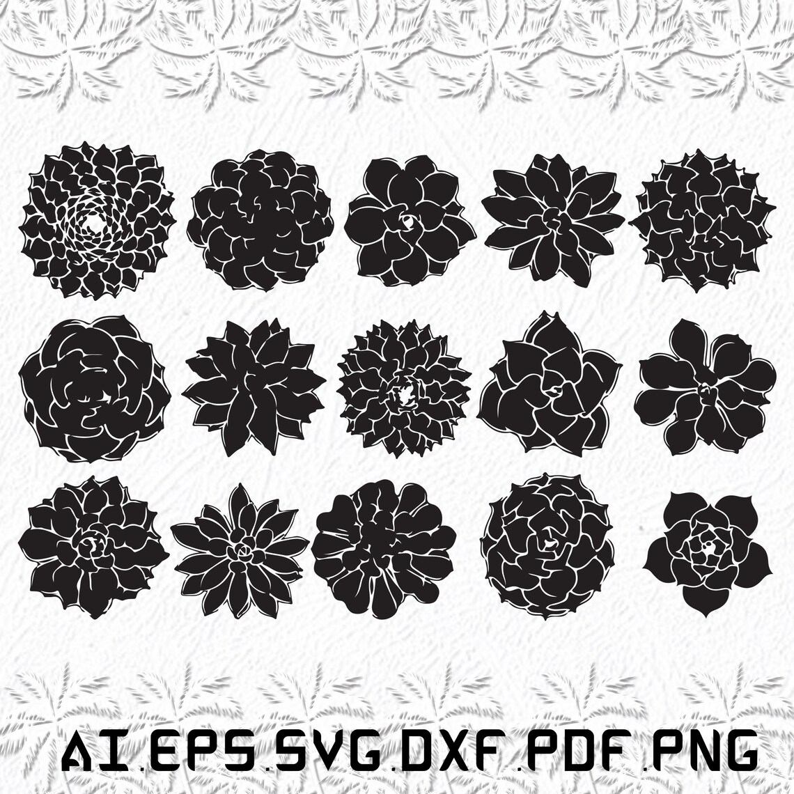 Succulent Svg Succulents Svg Plant Svg Plants Tree SVG - Etsy