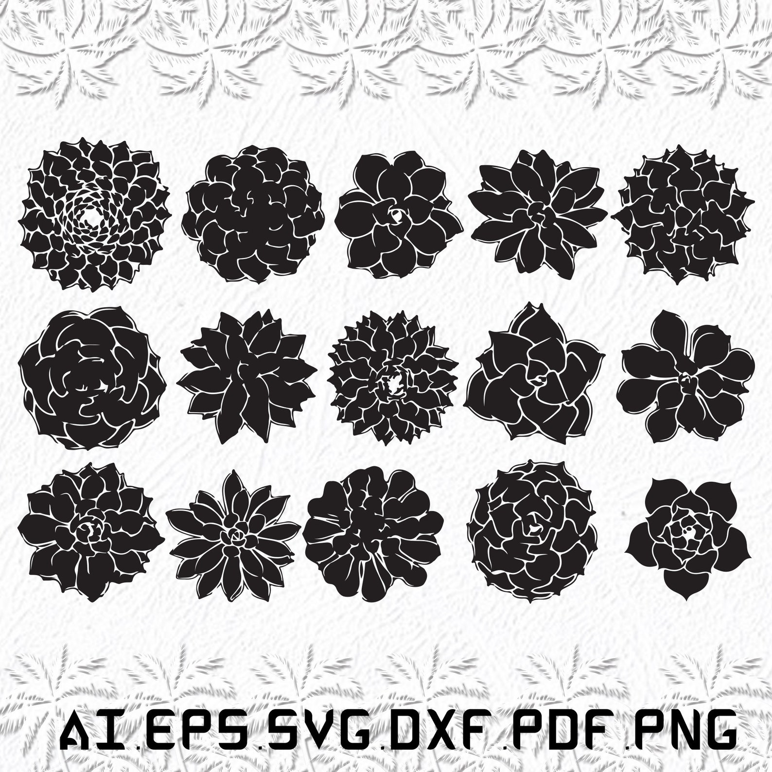 Succulent Svg Succulents Svg Plant Svg Plants Tree SVG - Etsy