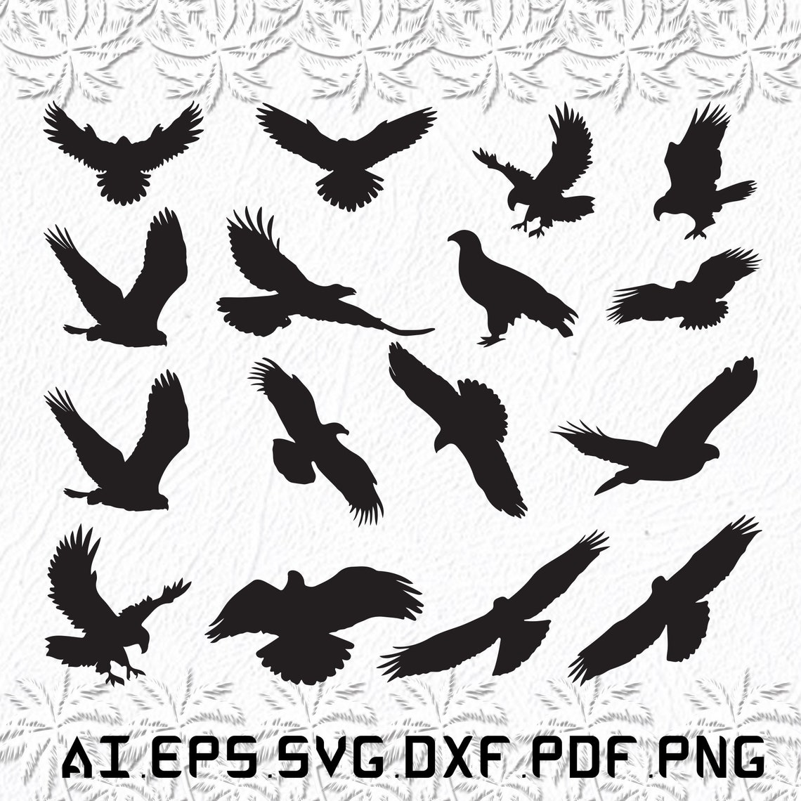Falcon Bird Svg Falcon Birds Svg Falcon Svg Bird Birds - Etsy