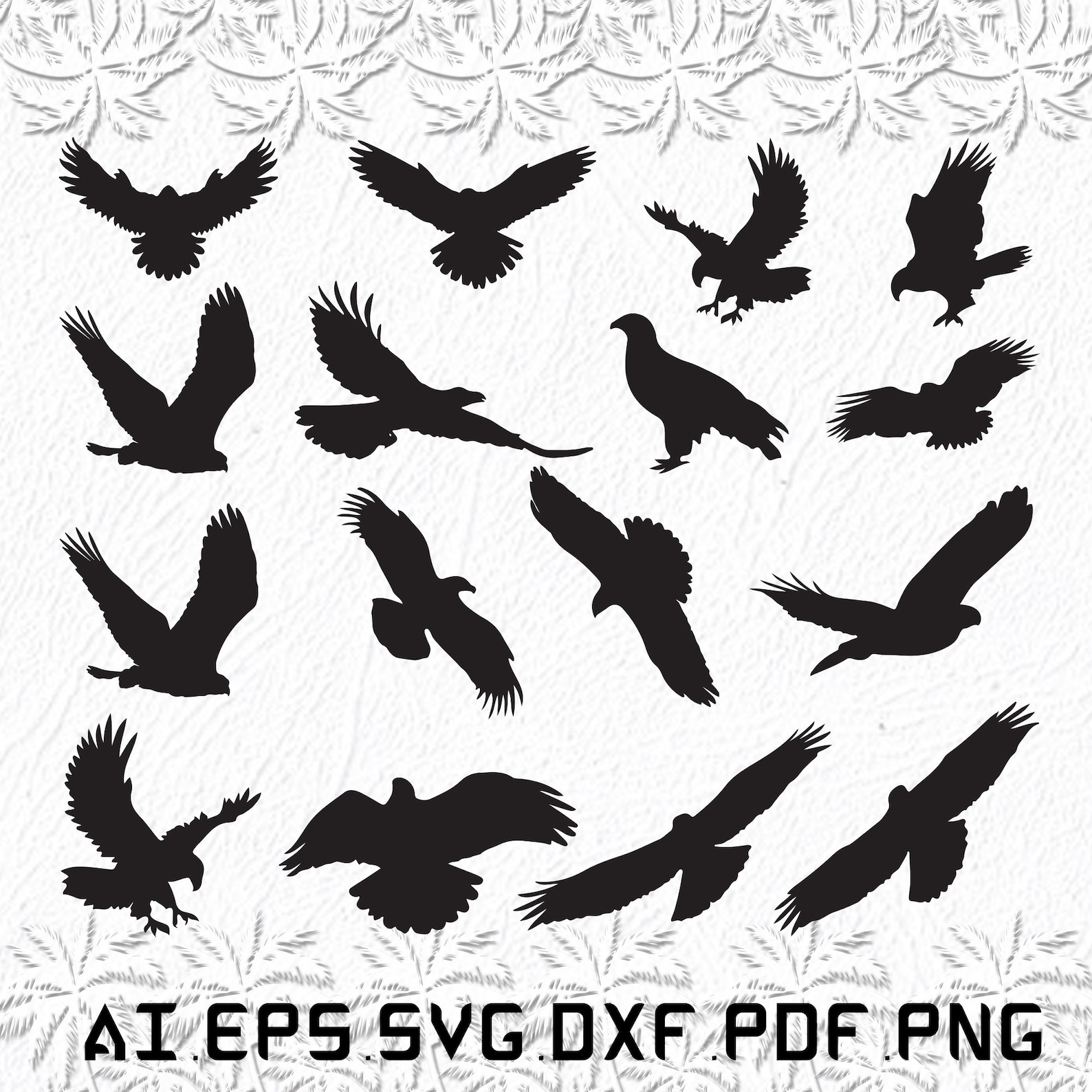 Falcon Bird Svg Falcon Birds Svg Falcon Svg Bird Birds - Etsy