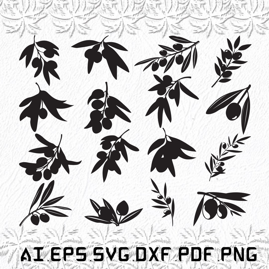 Olive Branch Svg, Olive Branchs Svg, Olive Svg, Branch, Oliv, SVG, Ai ...