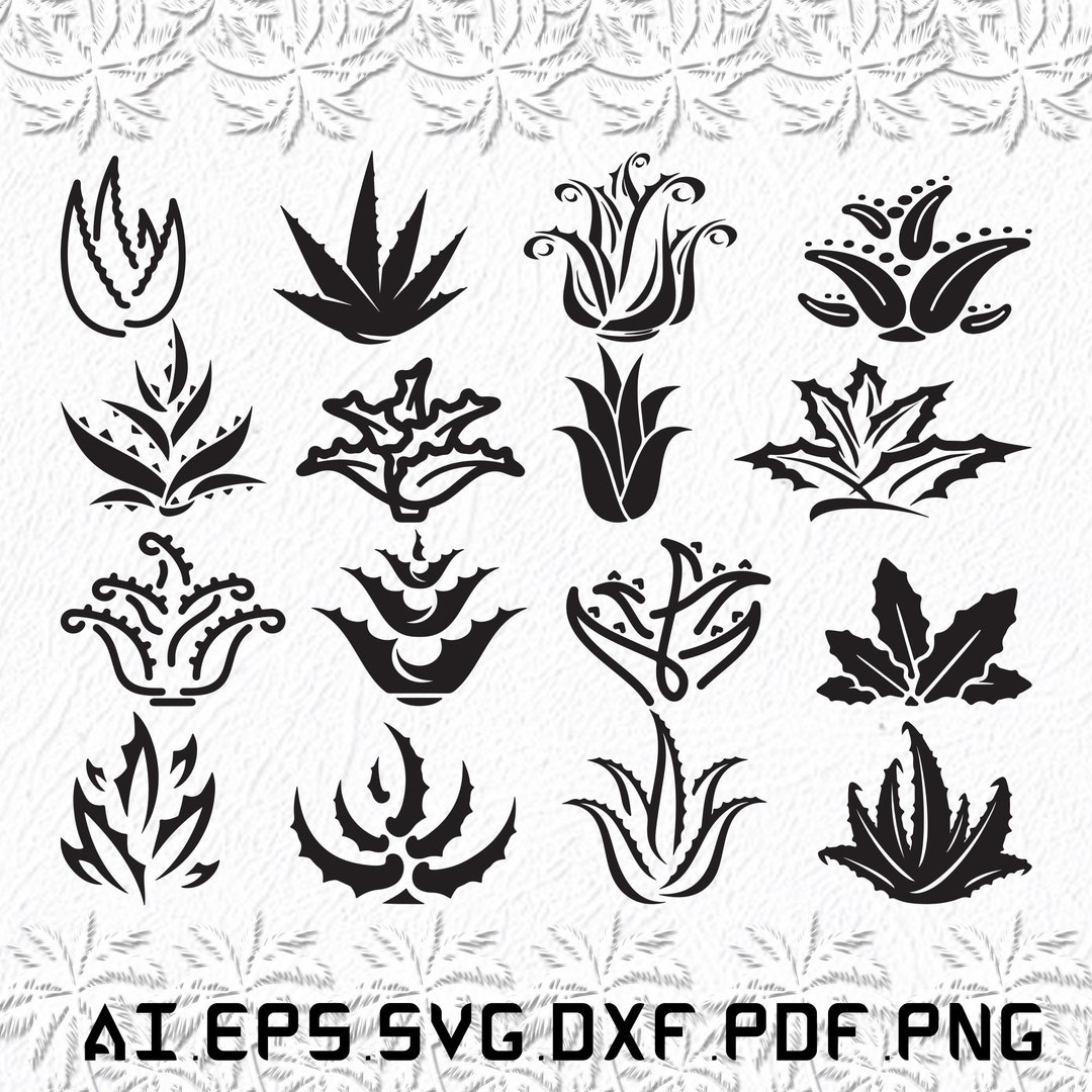 Aloe Vera svg Aloe svg Vera svg Naturaleza verde SVG ai - Etsy España