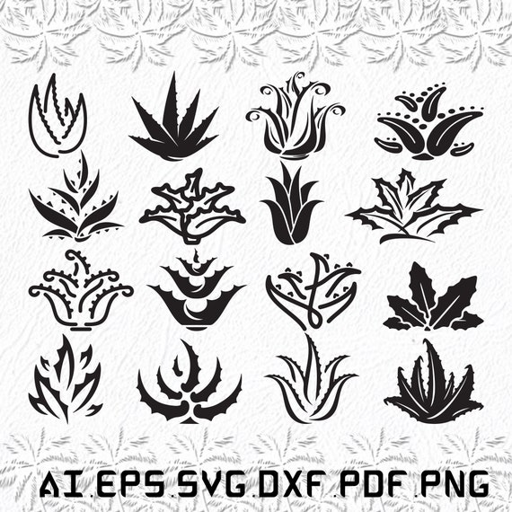 Aloe Vera Svg Aloe Svg Vera Svg Nature Green SVG Ai - Etsy