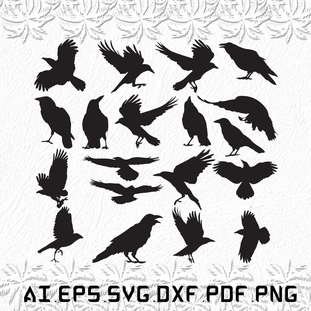 Rook Crow Svg, Rook Crows Svg, Birds Svg, Crow, Bird, SVG, Ai, Pdf, Eps ...
