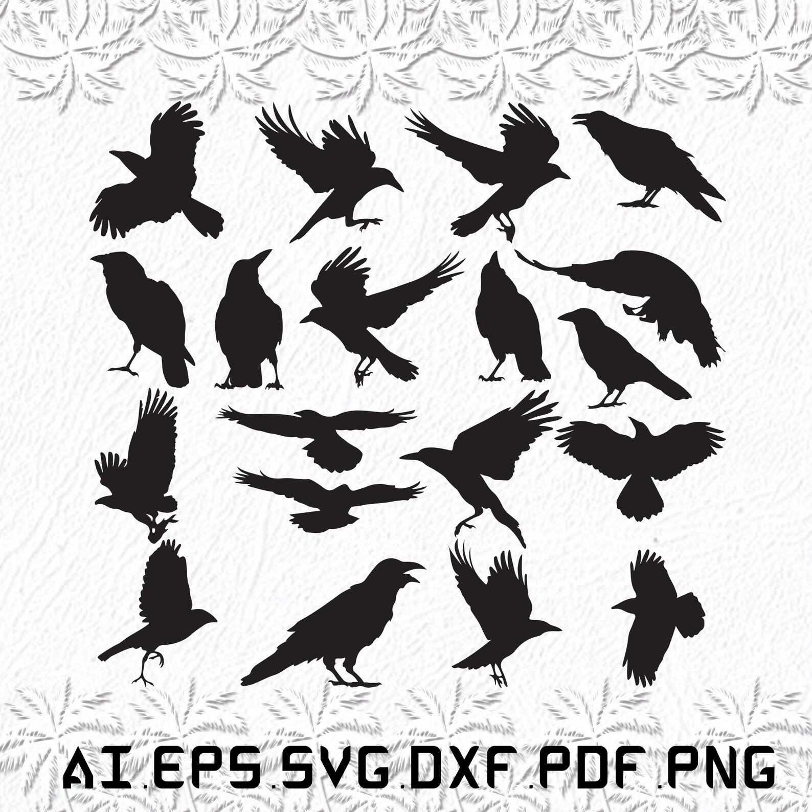 Rook Crow Svg Rook Crows Svg Birds Svg Crow Bird SVG Ai - Etsy