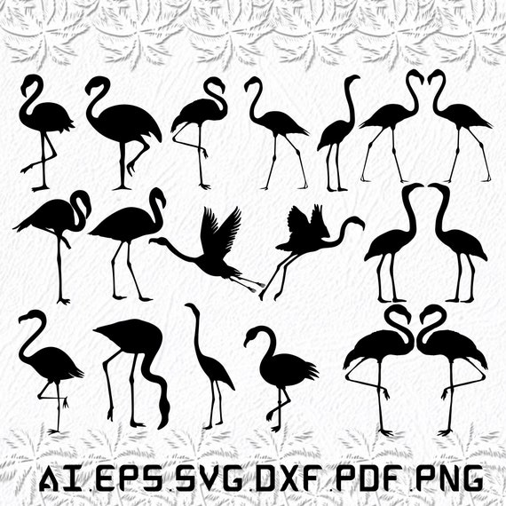 Flamingo Svg Flamingos Svg Bird Svg Summer Pink SVG Ai - Etsy Australia