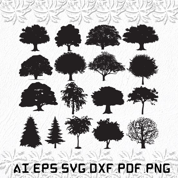 Albero svg Alberi svg Natura svg Verde Foresta SVG ai - Etsy Italia