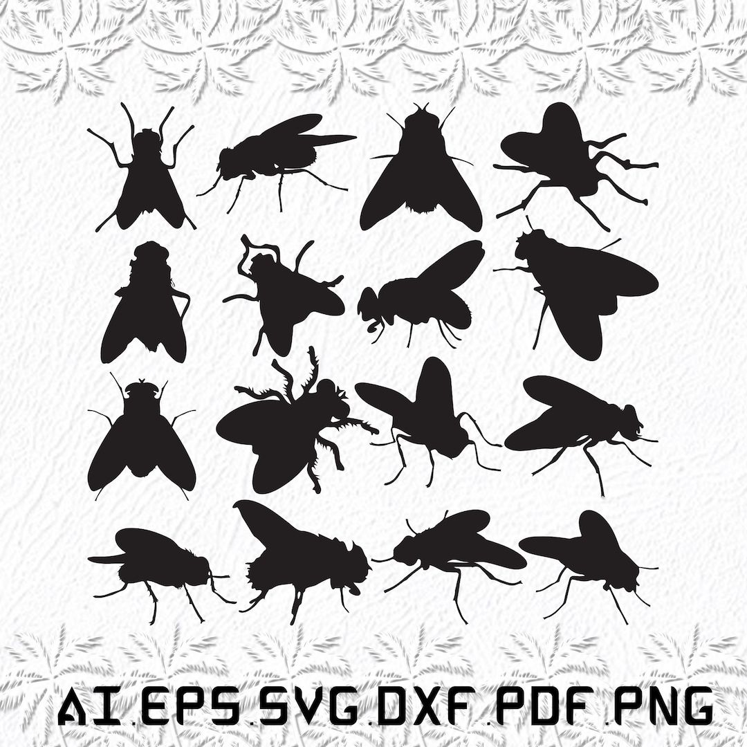 Flies Svg, Flie Svg, Mashi Svg, Fly, Animal, SVG, Ai, Pdf, Eps, Svg ...