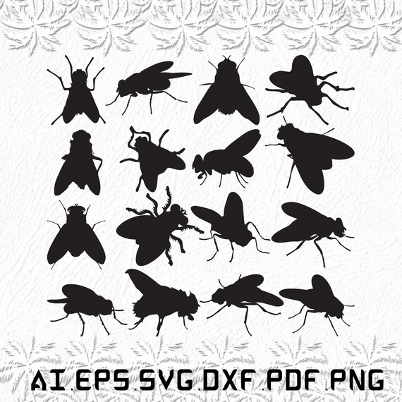 Fliegen svg Flie svg Mashi svg Fliege Tier SVG ai pdf - Etsy.de