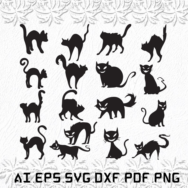 Spooky Cat Svg Spooky Cats Svg Animal Svg Animals Pet - Etsy