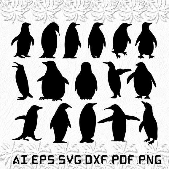 Pingüino svg Pingüinos svg Lindo svg Divertido Animal - Etsy México
