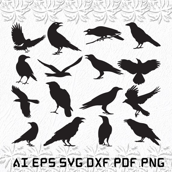 Raven Svg Crow Svg Birds Svg Animal Bird SVG Ai Pdf - Etsy
