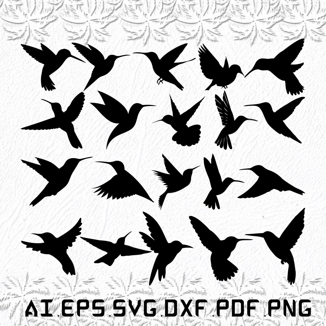 Hummingbird Svg, Bird Svg, Birds Svg, Nature, Animal, SVG, Ai, Pdf, Eps ...