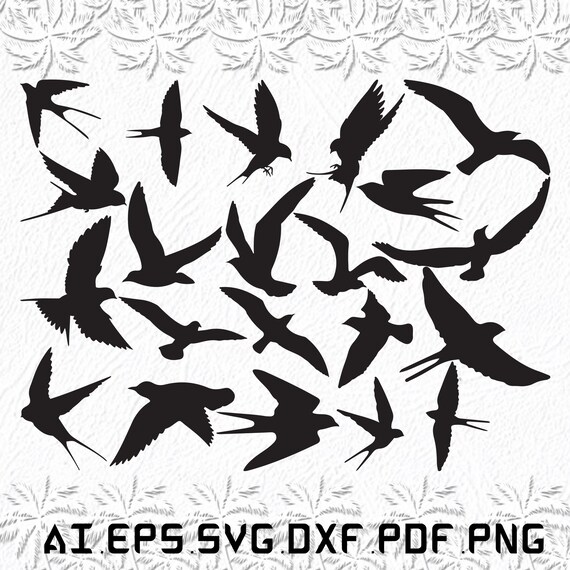 Swallow Birds Svg Swallow Bird Svg Swallow Svg Birds Bird - Etsy