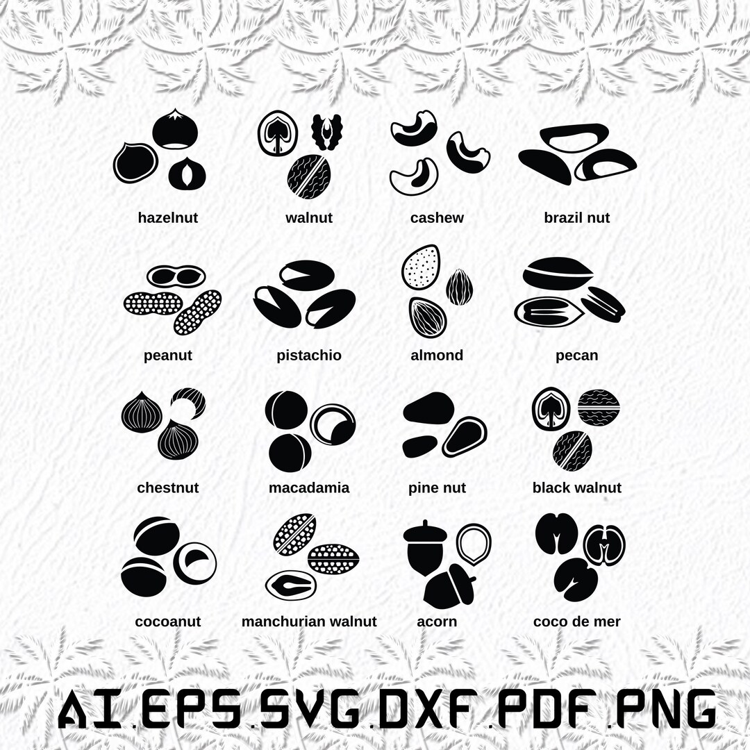 Nut Svg, Nuts Svg, Garden Svg, Fruit, Food, SVG, Ai, Pdf, Eps, Svg, Dxf ...